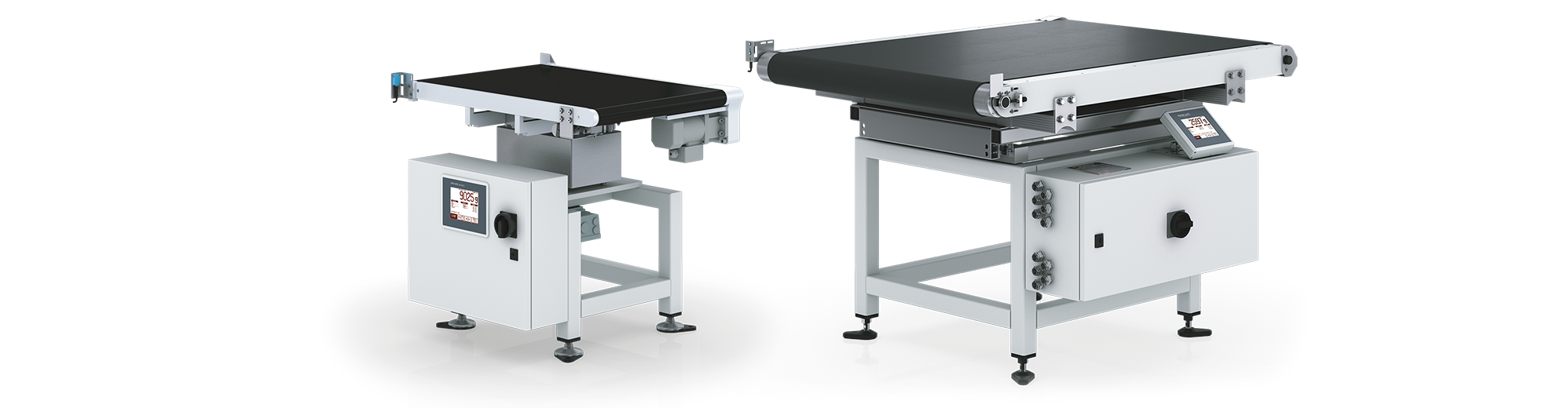 High-Quality Catchweighers and DWS Systems | Wipotec